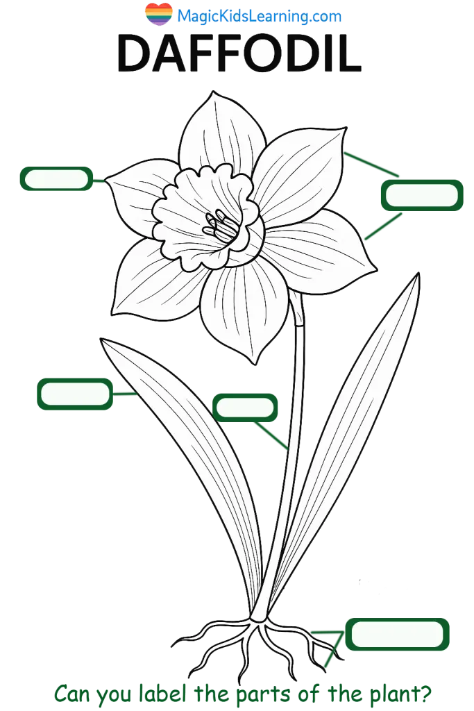 Parts of a Flower STEM Activity – Hands-On Learning for Kids - Magic ...